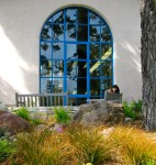 HARRISON MEMORIAL LIBRARY- IN THE HEART OF CARMEL | Once upon a time ...