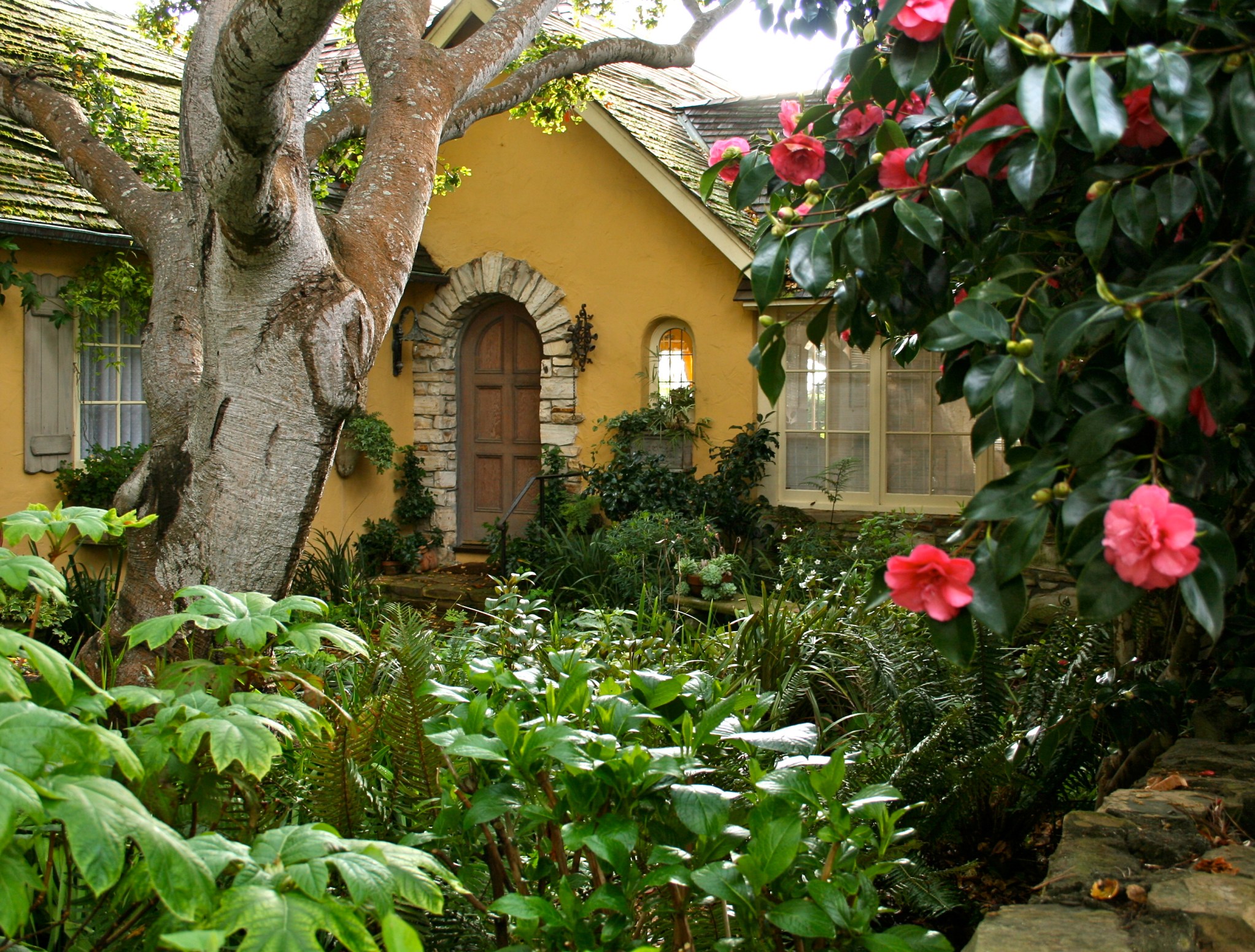 PICKING A NAME FOR YOUR FAIRYTALE COTTAGE | Once upon a time..Tales ...