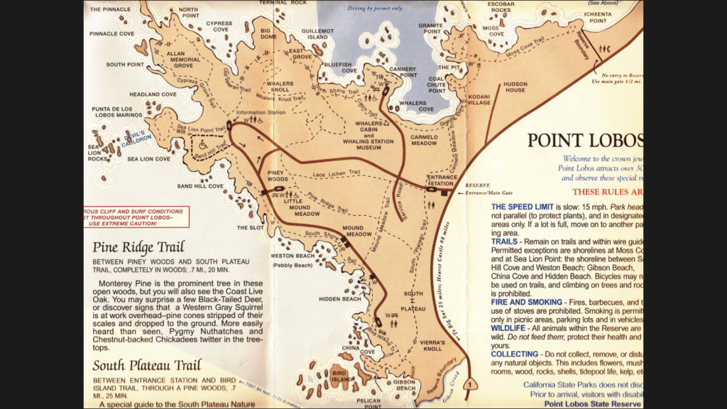 POINT LOBOS STATE RESERVE | Once upon a time..Tales from Carmel by the Sea
